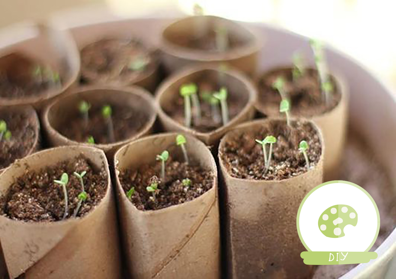 10 tips om een wc-rol op een andere manier te gebruiken - Love2BeMama