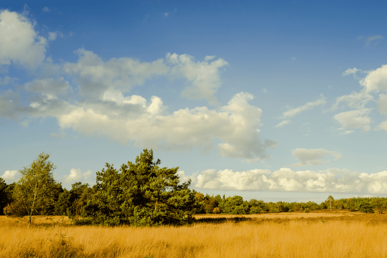 Weekendje weg Nederland: dit zijn de leukste plekken! - Love2BeMama